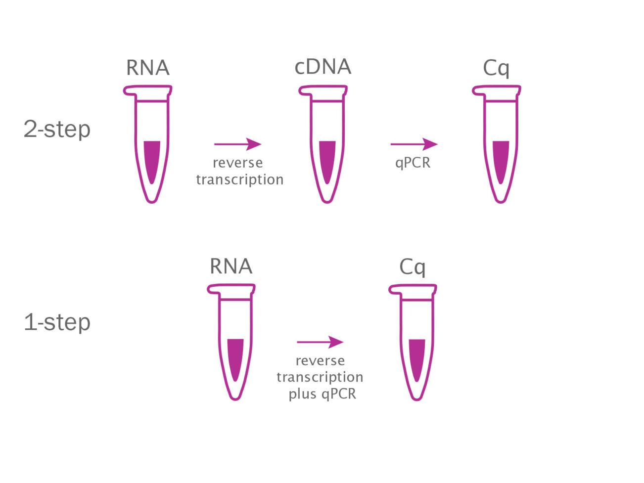 Tips & Tricks: Choosing 1-step or 2-step RT-qPCR - PCR Biosystems