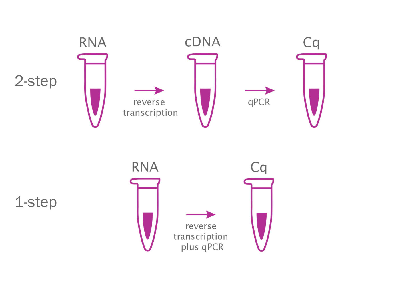 Tips & Tricks: Choosing 1-step or 2-step RT-qPCR - PCR Biosystems