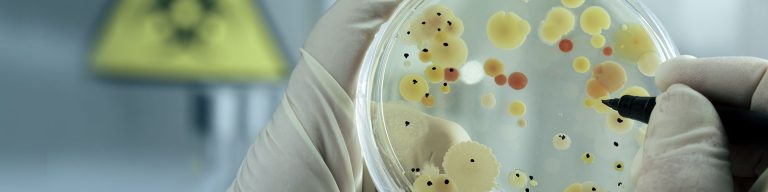 Colony PCR Reagents | PCR Biosystems