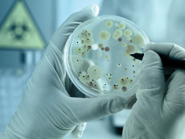 PCR - Polymerase Chain Reaction - Applications | PCR Biosystems
