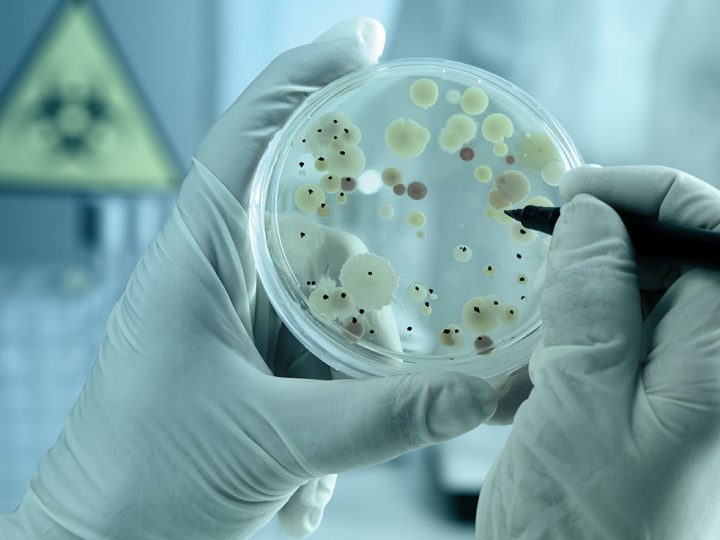 PCR - Polymerase Chain Reaction - Applications | PCR Biosystems