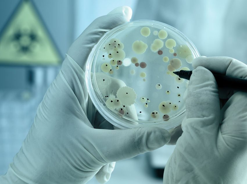 PCR - Polymerase Chain Reaction - Applications | PCR Biosystems