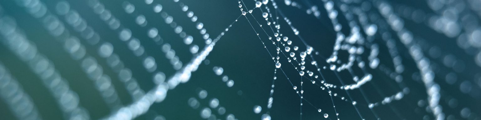 Site Directed Mutagenesis | PCR Biosystems