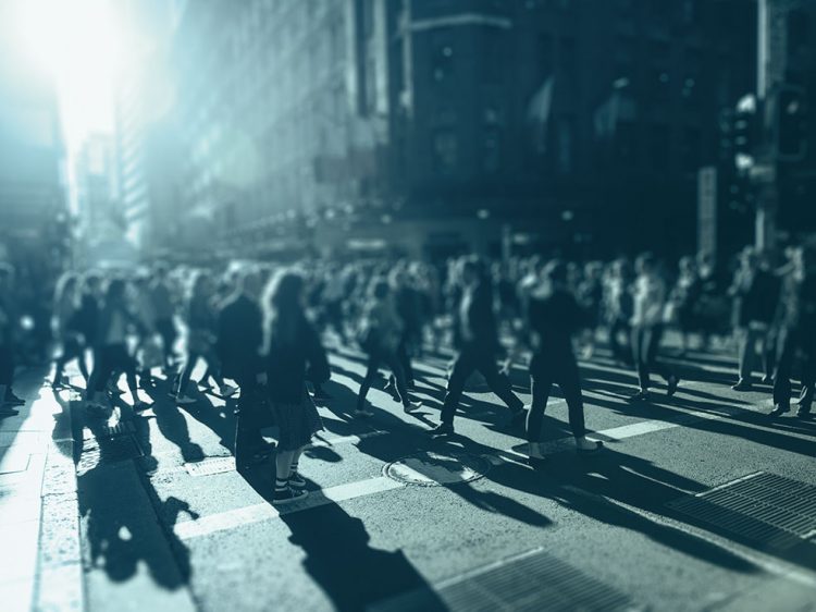 Multiplex PCR Reagents | PCR Biosystems