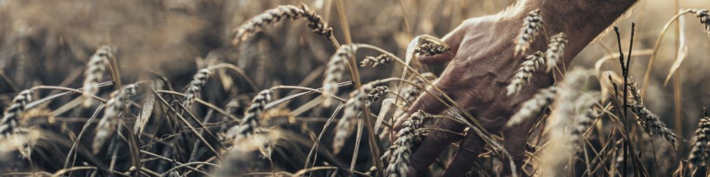 Polymerases for GC-Rich PCR | PCR Biosystems