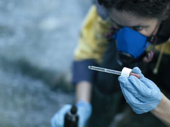 PCR Mixes for Direct Gel Loading | PCR Biosystems