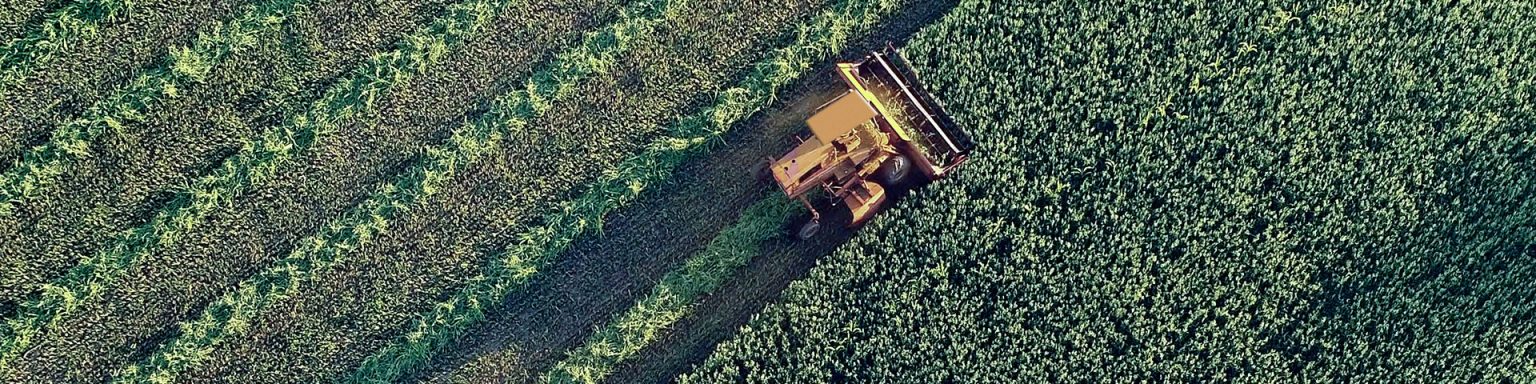 cDNA Synthesis on High GC Templates | PCR Biosystems