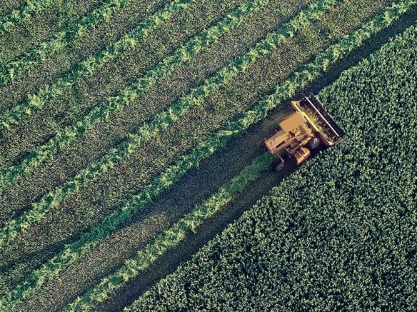 cDNA Synthesis on High GC Templates | PCR Biosystems