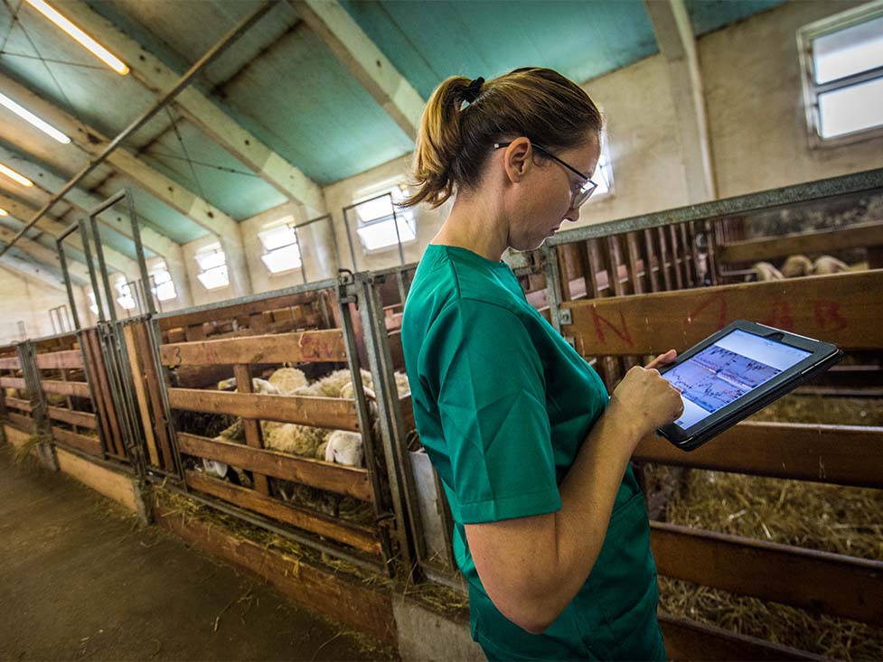 Take your veterinary research and diagnostics to the next level at ...