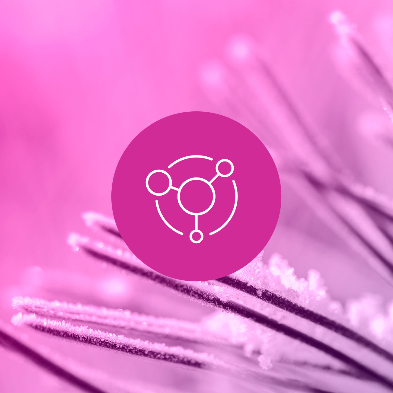 Products - PCR Biosystems