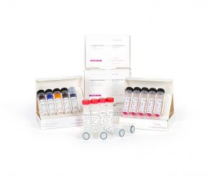 PCR Kits and Products | PCR Biosystems