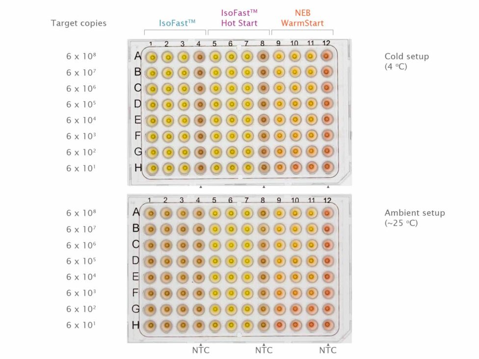 IsoFast® Hot Start Bst Polymerase Colour & Mix - PCR Biosystems