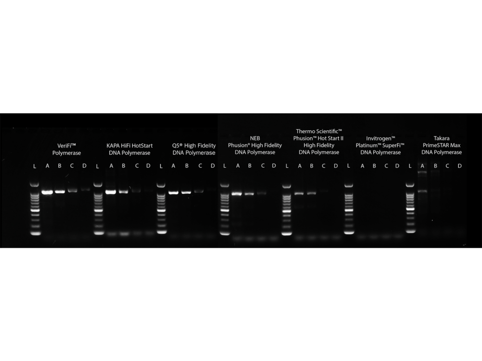 High Fidelity PCR | VeriFi® Polymerase & Mixes | PCR Biosystems
