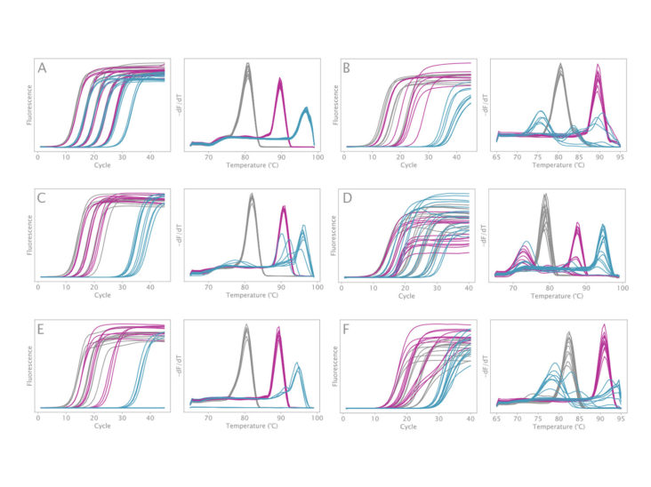 VeriFi® Library Amplification Mix for NGS - PCR Biosystems