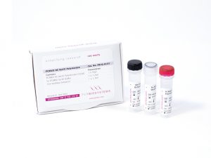 High Fidelity PCR | VeriFi® Polymerase & Mixes | PCR Biosystems