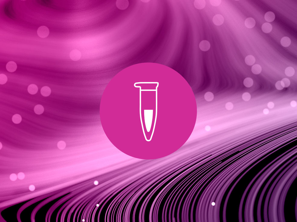 Isothermal Amplification Products - PCR Biosystems