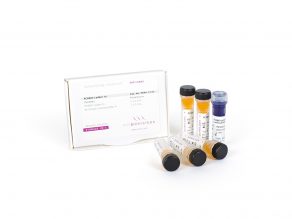 PCRBIO DNA Markers | PCR Casting | PCR Biosystems