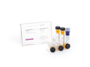 PCRBIO DNA Markers | PCR Casting | PCR Biosystems
