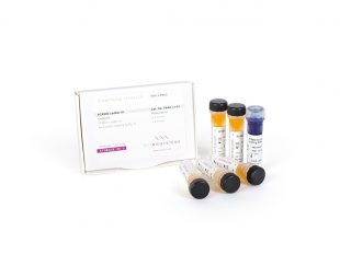 PCRBIO DNA Markers | PCR Casting | PCR Biosystems