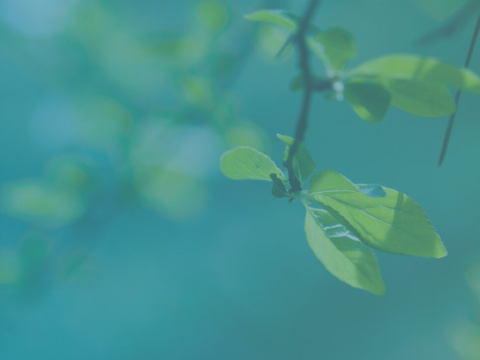 Next Generation Sequencing, NGS Reagents | PCR Biosystems