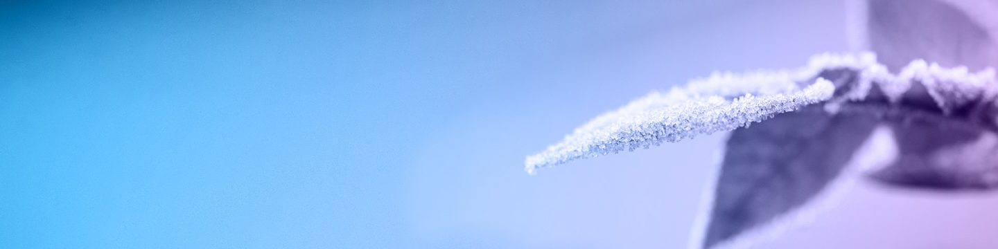 Lyo-Ready Probe 1-Step Kit | PCR Biosystems