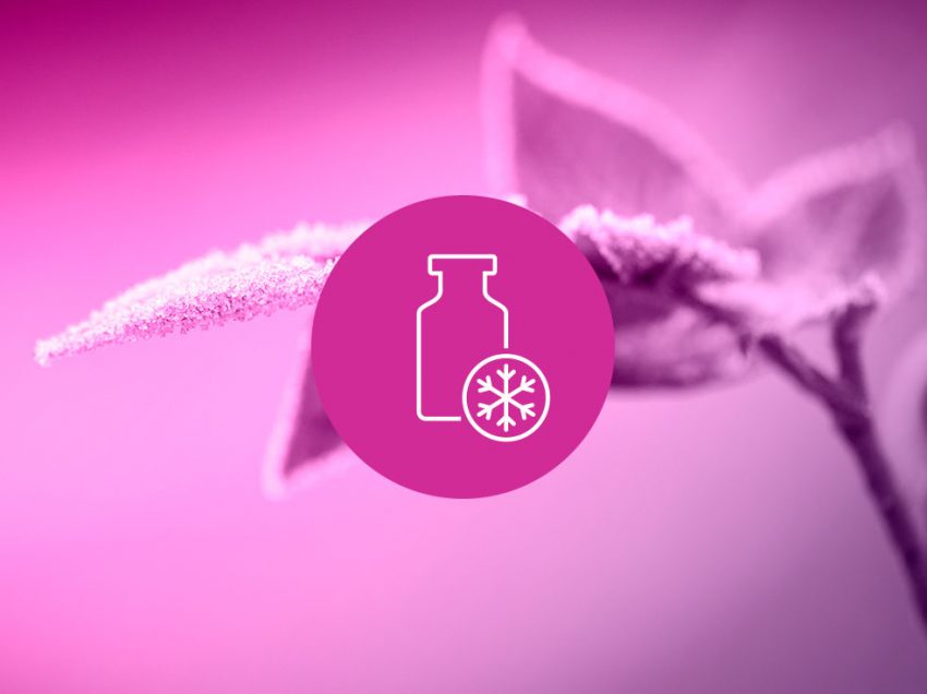 Lyophilisable and Air-Dryable Mixes | PCR Biosystems