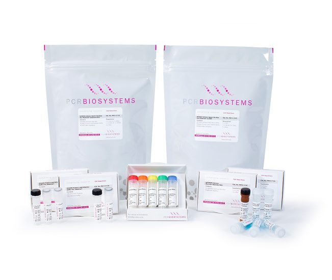 Next Generation Sequencing, NGS Reagents | PCR Biosystems