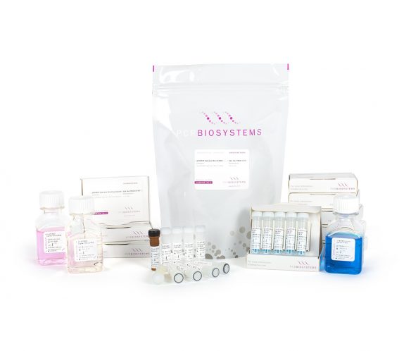 Quantitative Real-time PCR (qPCR) Applications | PCR Biosystems