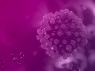 PCR Reagents for Research & Diagnostics - PCR Biosystems