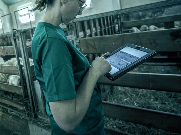 Home - PCR Biosystems