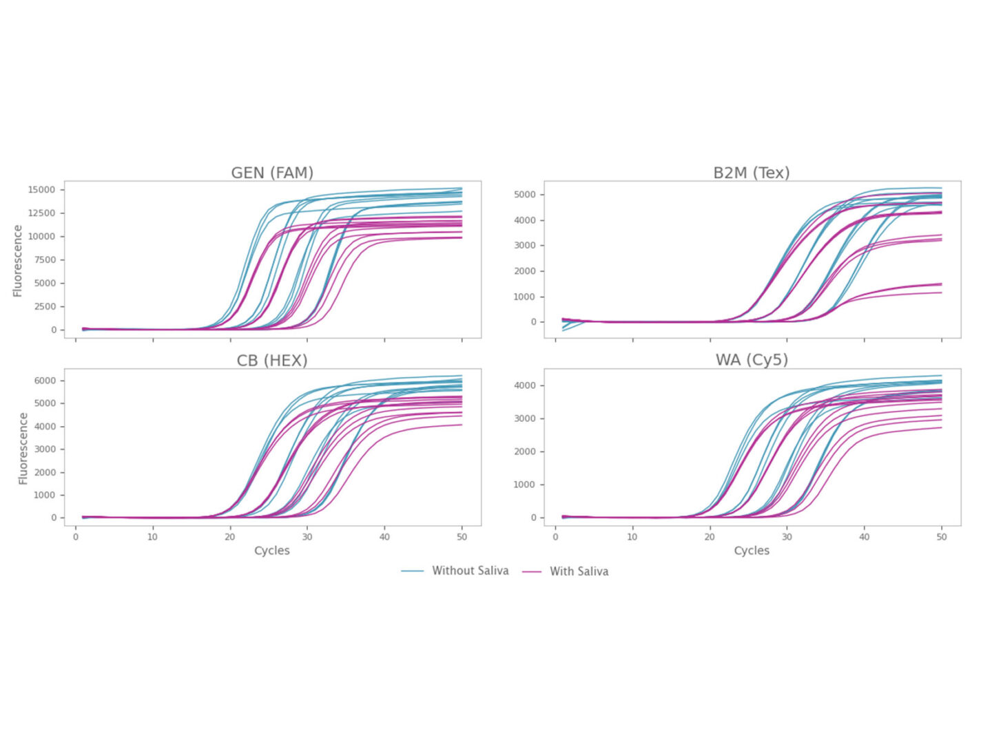 Clara® Inhibitor-Tolerant Probe & Probe 1-Step Mixes - PCR Biosystems